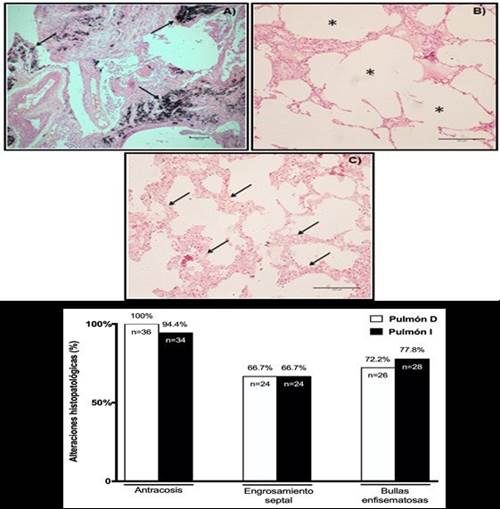 Espesor Del Tejido Desigual En Histologia Online | emergencydentistry.com