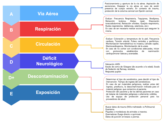 Abordaje del paciente pediátrico intoxicado en urgencias