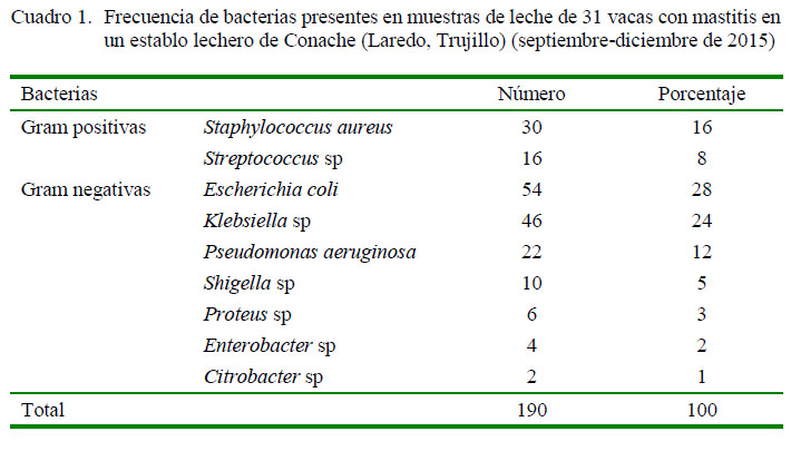 Bacterias Gram Negativas Y Gram Positivas